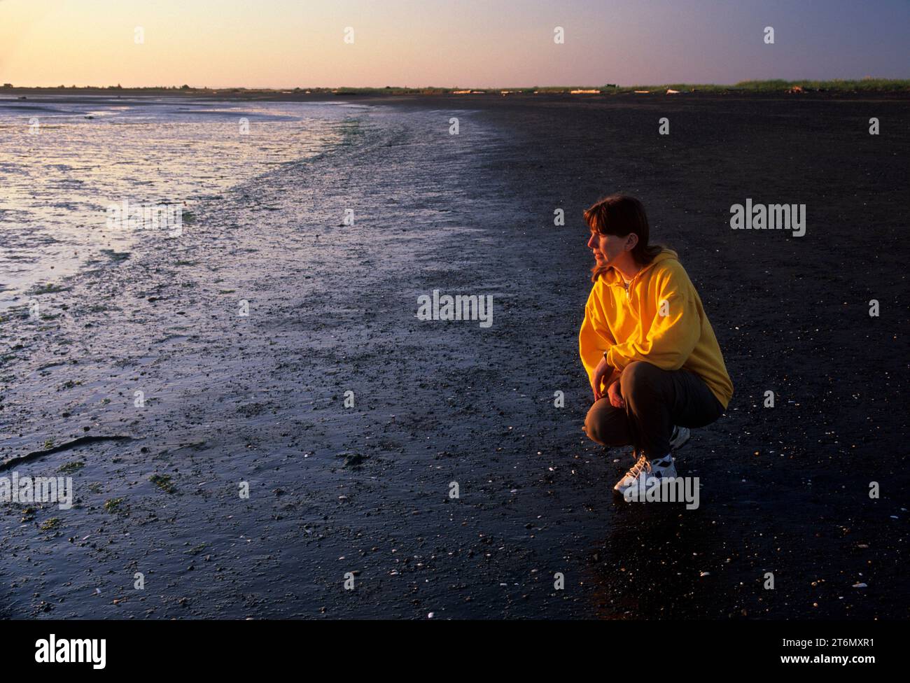 Bayshore walk, Damon Point State Park, Washington Stock Photo - Alamy