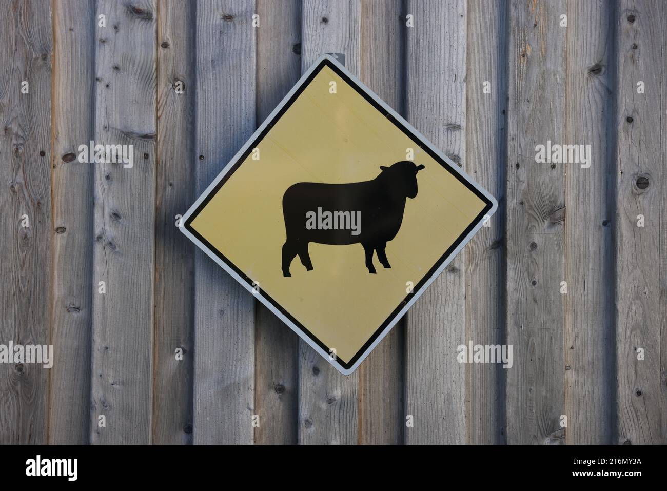 Sign with picture of sheep on wooden wall. Farm animal Stock Photo - Alamy