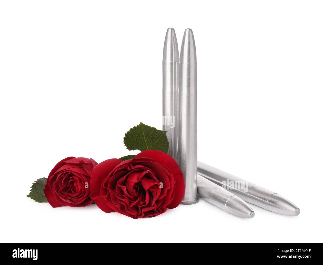 Bullets and red roses isolated on white Stock Photo - Alamy