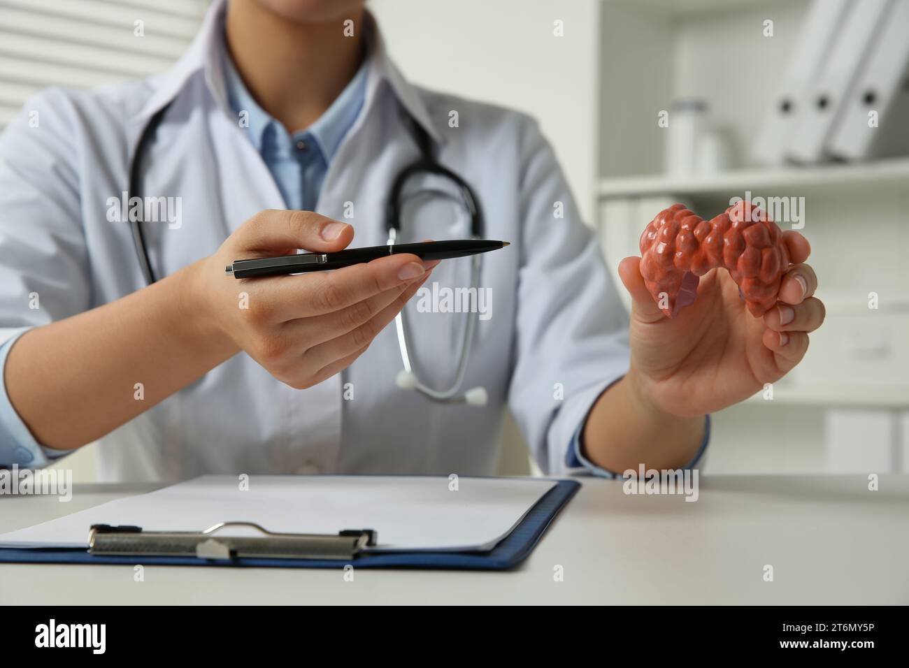Endocrinologist showing thyroid gland model at white table in hospital ...