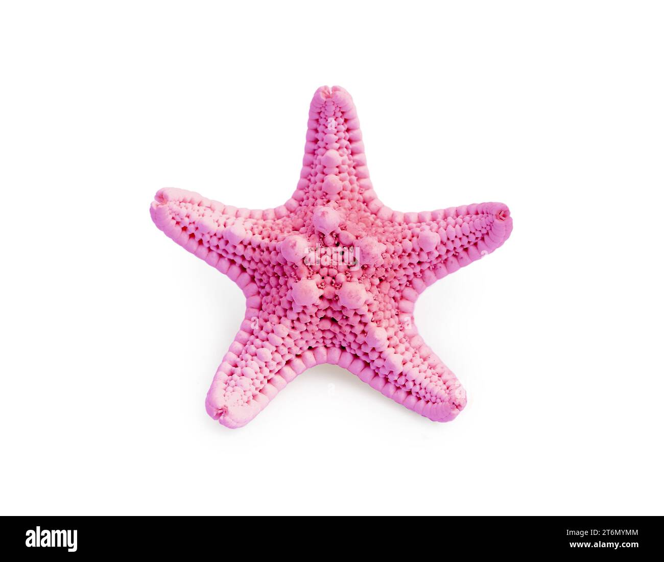 Bright underwater marine pink Cut Out Stock Images & Pictures - Alamy