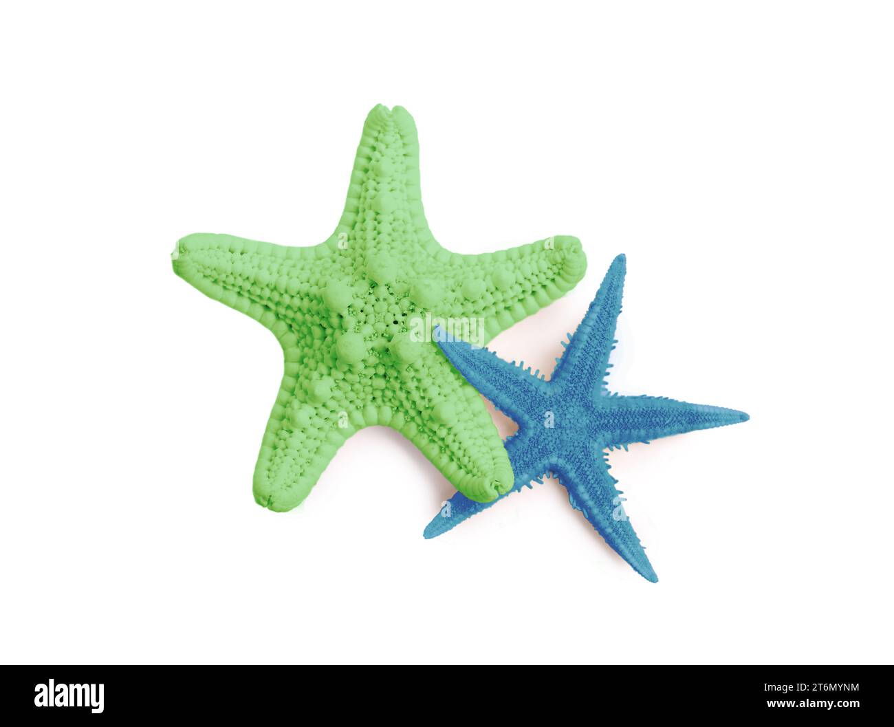 Two different sea stars isolated on white, top view Stock Photo - Alamy