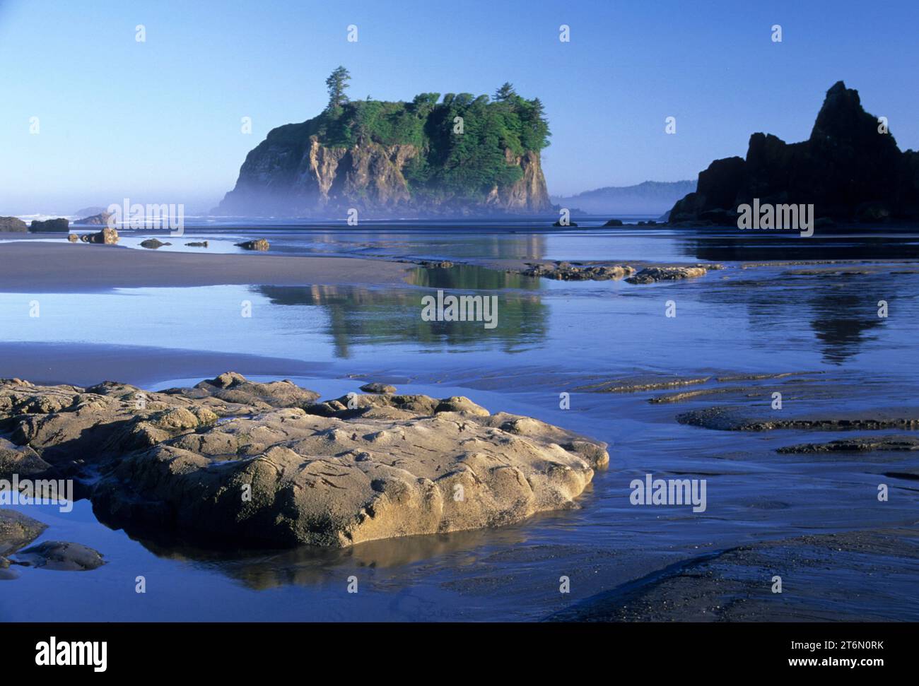 Abbey Island at Ruby Beach, Olympic National Park, Washington Stock ...