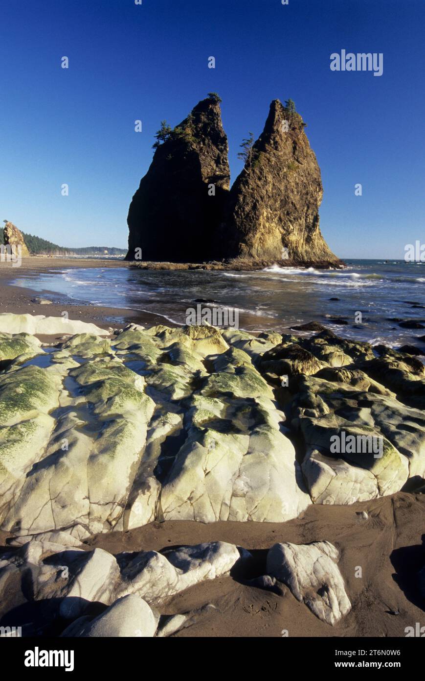 Split rock rialto beach hi-res stock photography and images - Alamy