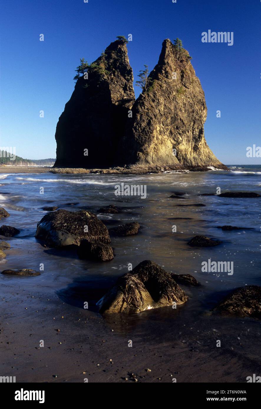 Split Rock, Olympic National Park, Washington Stock Photo - Alamy