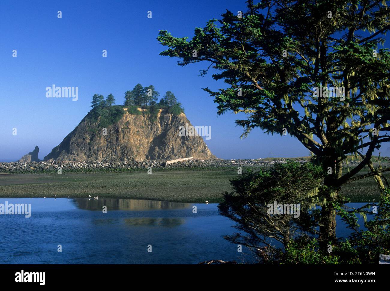 Indian estuary hi-res stock photography and images - Alamy