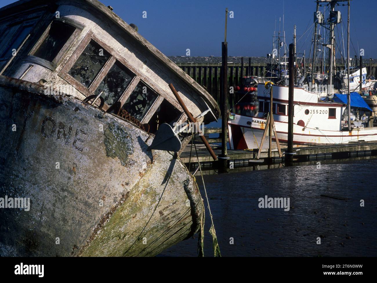 Indian fishing dock hi-res stock photography and images - Alamy