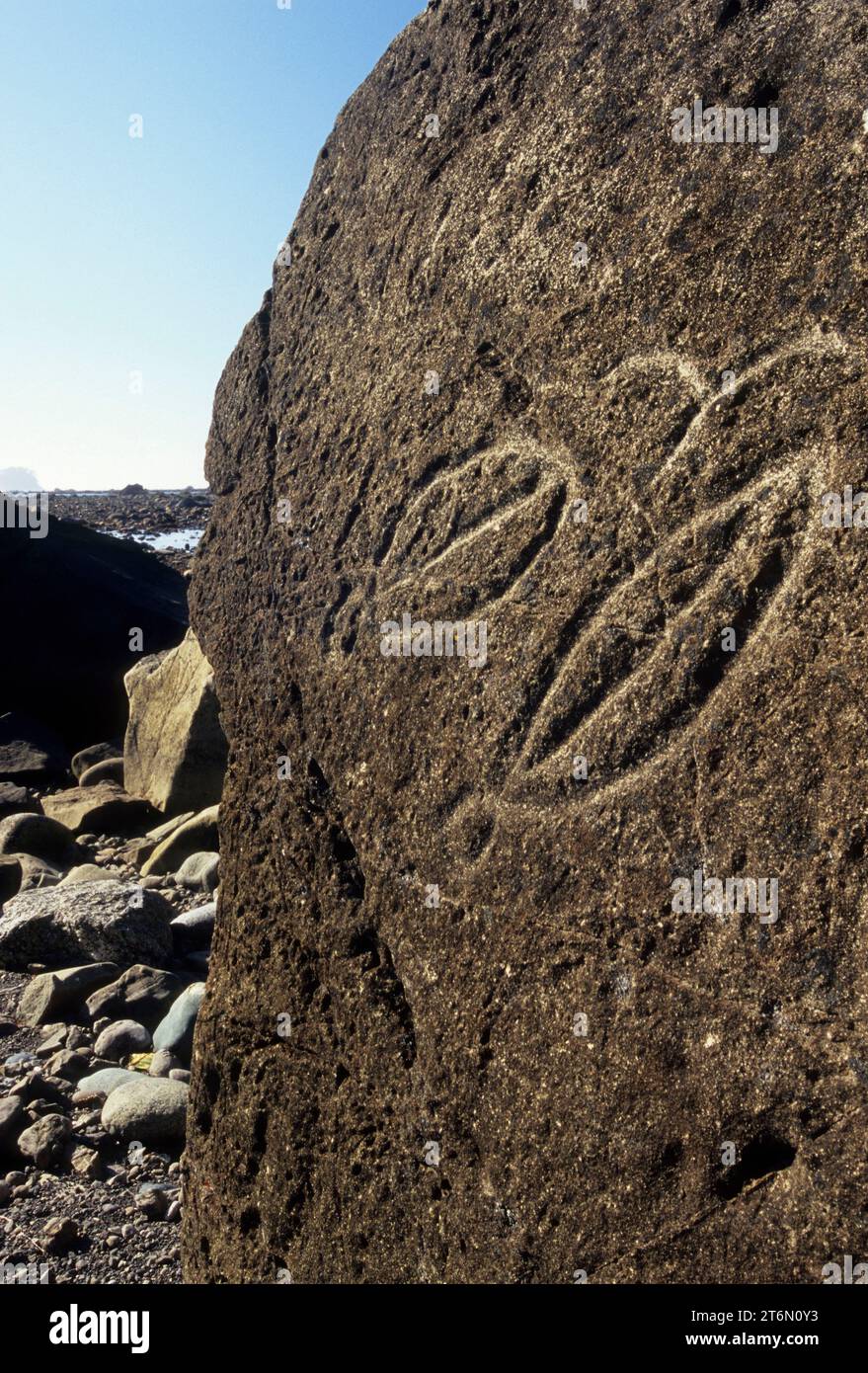 Petroglyphs at Wedding Rock, Olympic National Park, Washington Stock ...