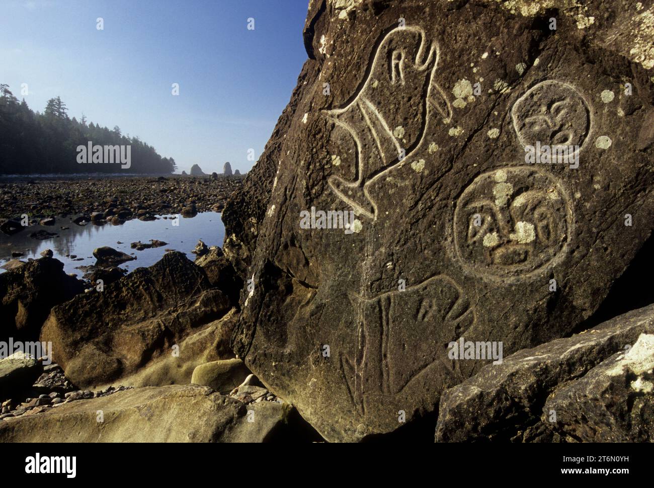 Petroglyphs at Wedding Rock, Olympic National Park, Washington Stock ...