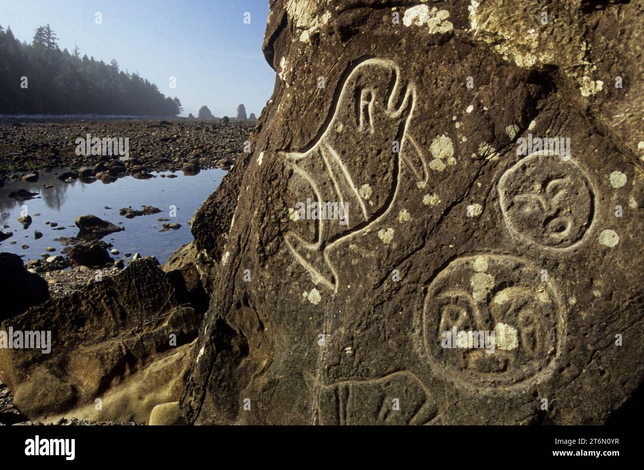 Petroglyphs at Wedding Rock, Olympic National Park, Washington Stock ...