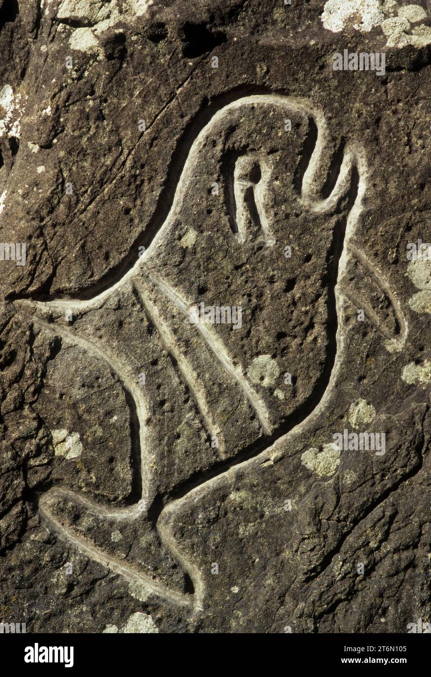 Petroglyphs at Wedding Rock, Olympic National Park, Washington Stock ...