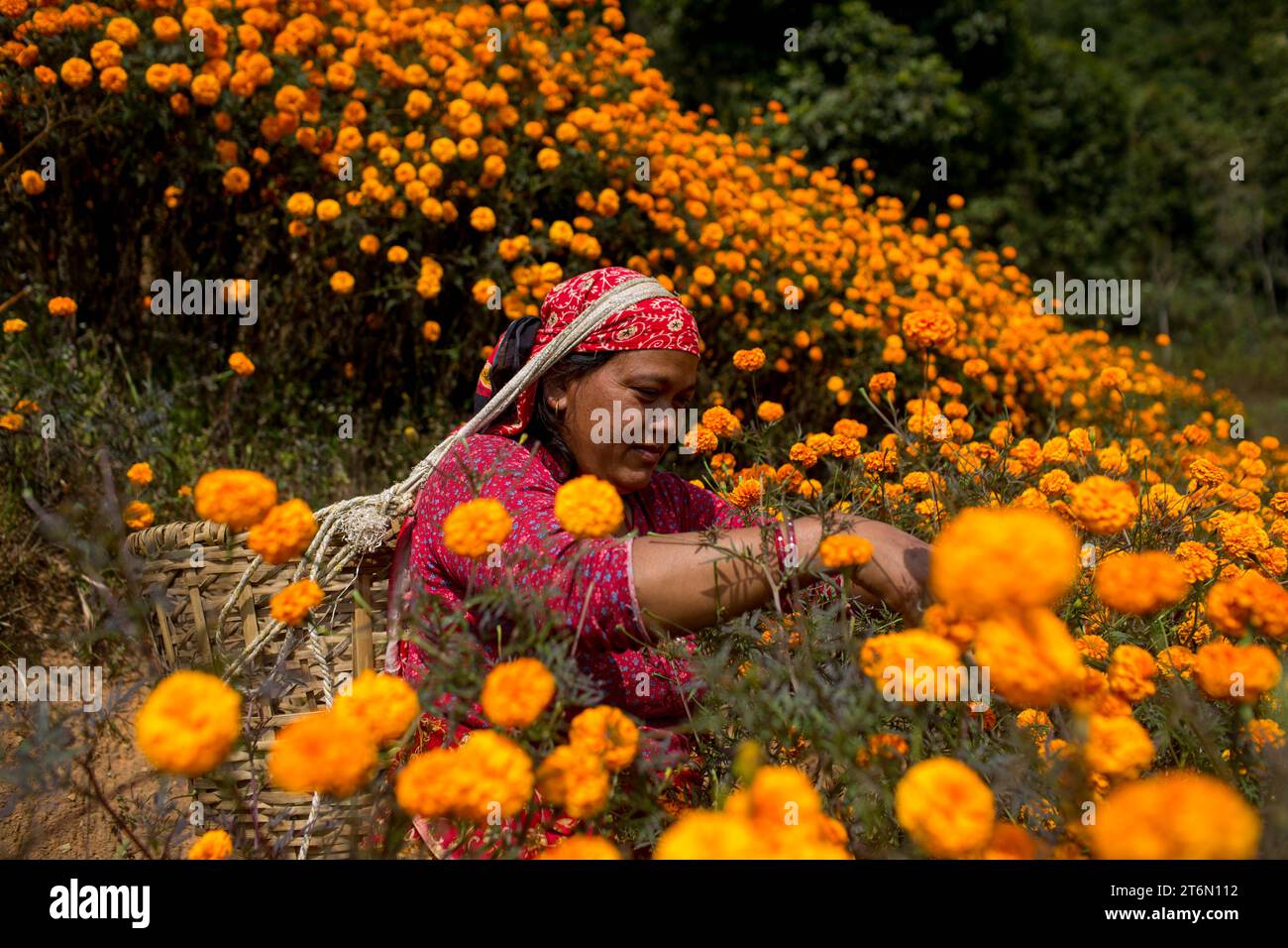 (231111) -- KATHMANDU, Nov. 11, 2023 (Xinhua) -- A woman collects ...