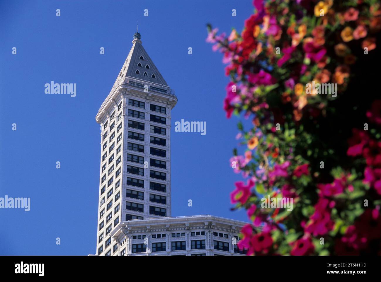 Smith Tower, Pioneer Square, Seattle, Washington Stock Photo - Alamy