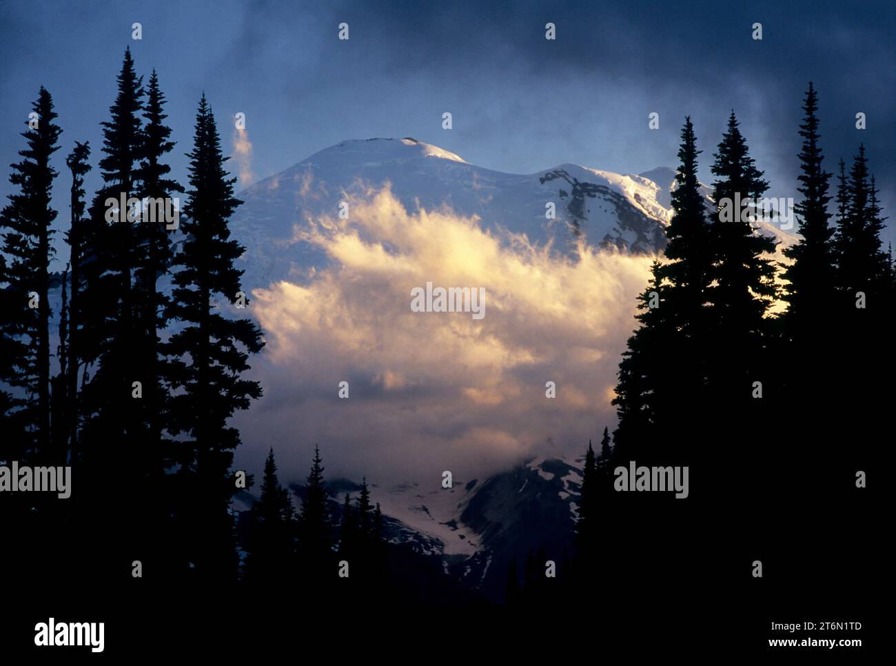 Mt Rainier from Sunrise Point, Mt Rainier National Park, Washington ...