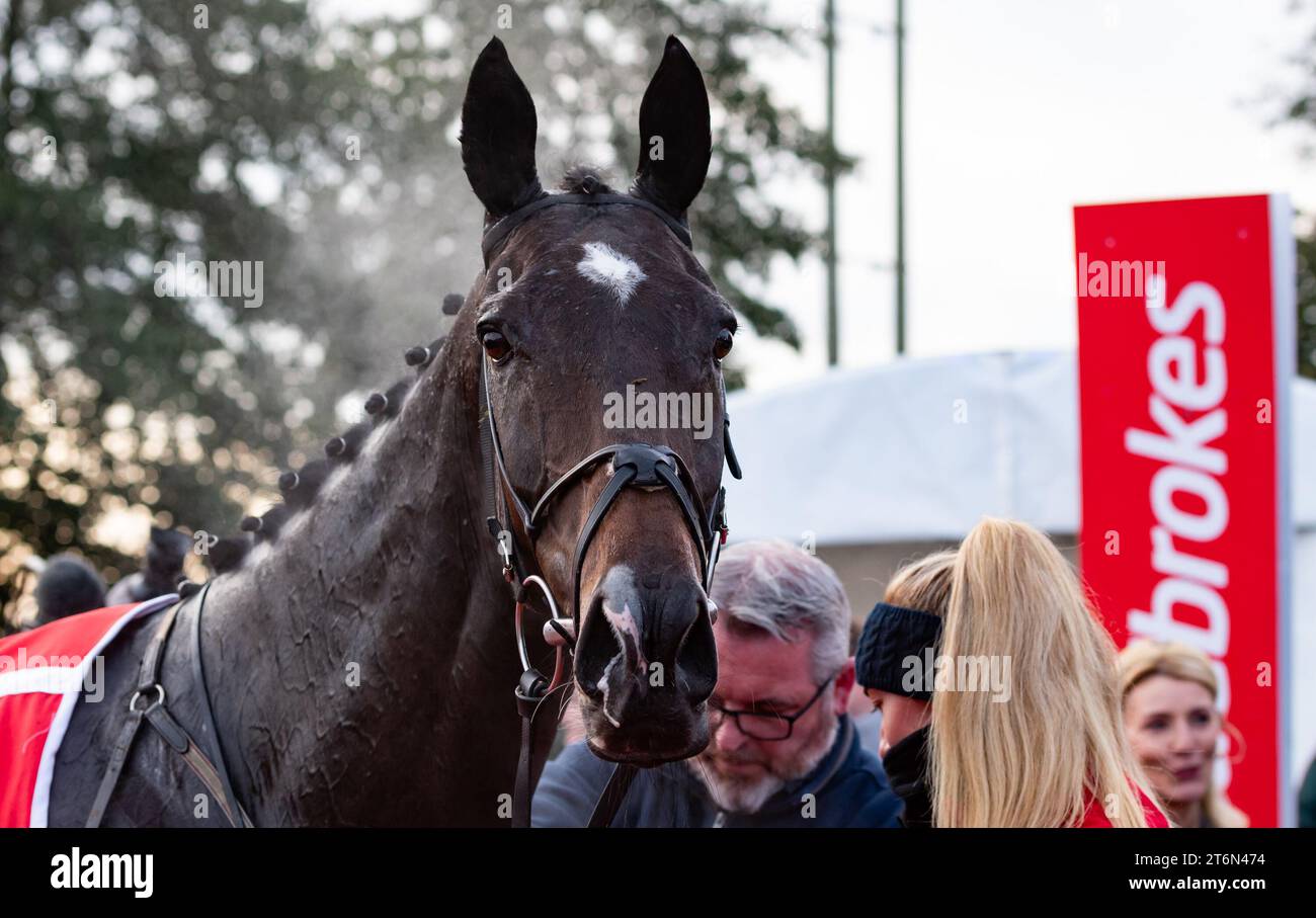 Gerri colombe horse hi-res stock photography and images - Alamy