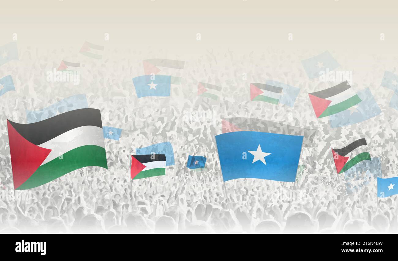 Palestine and Somalia flags in a crowd of cheering people. Crowd of ...