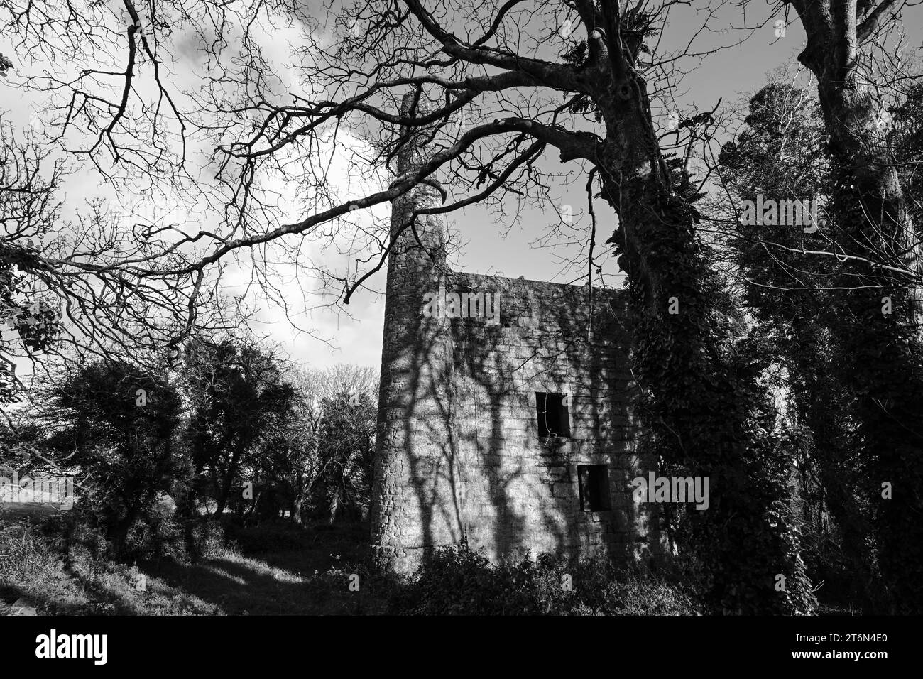 Vintage Tin Mine chimney stack and mine house Cornwall Stock Photo - Alamy