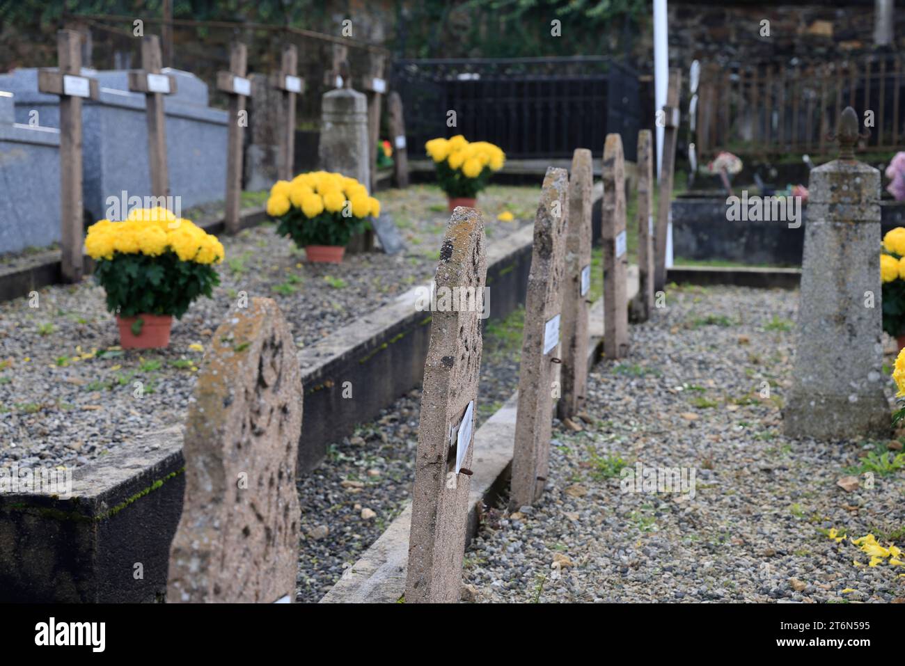 Nouvelle Aquitaine, French countryside, France. November 11, 2023 ...