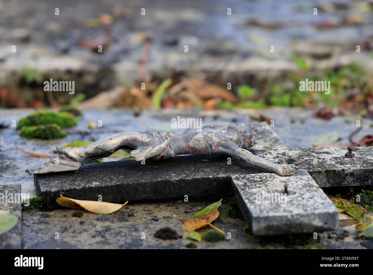 Nouvelle Aquitaine, French countryside, France. November 11, 2023 ...