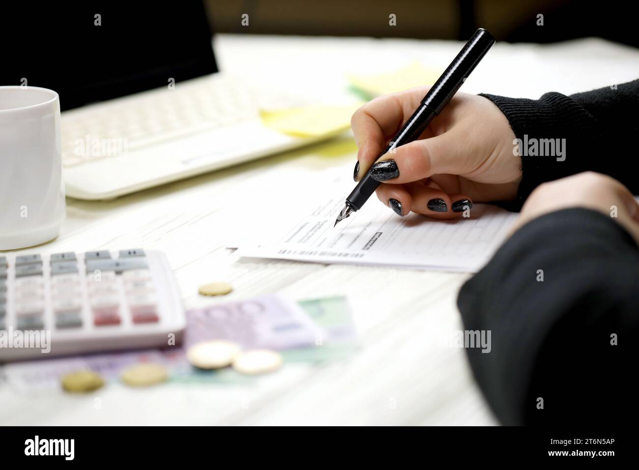 Accountant fill german tax form Einkommensteuererklarung in end of tax ...