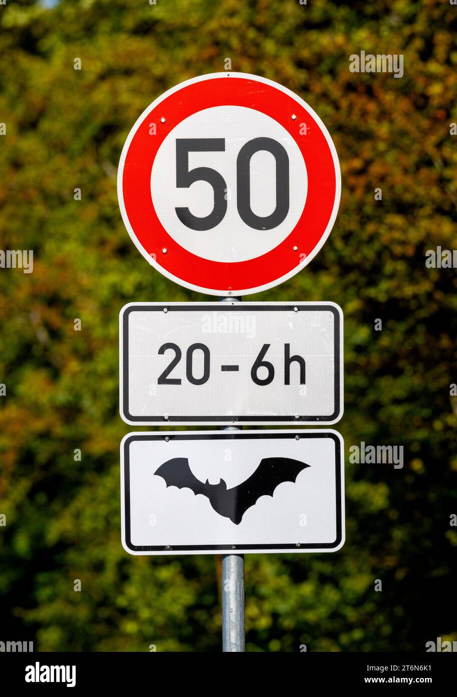 Fledermaus-Verkehrsschild Verkehrsschilder warnen vor dem Flug der ...