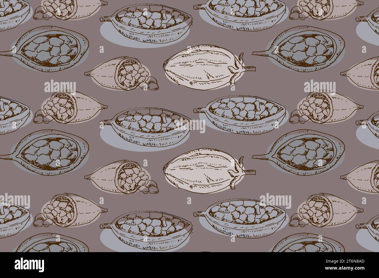cartoon baobab beans sketch on brown background Stock Vector Image ...