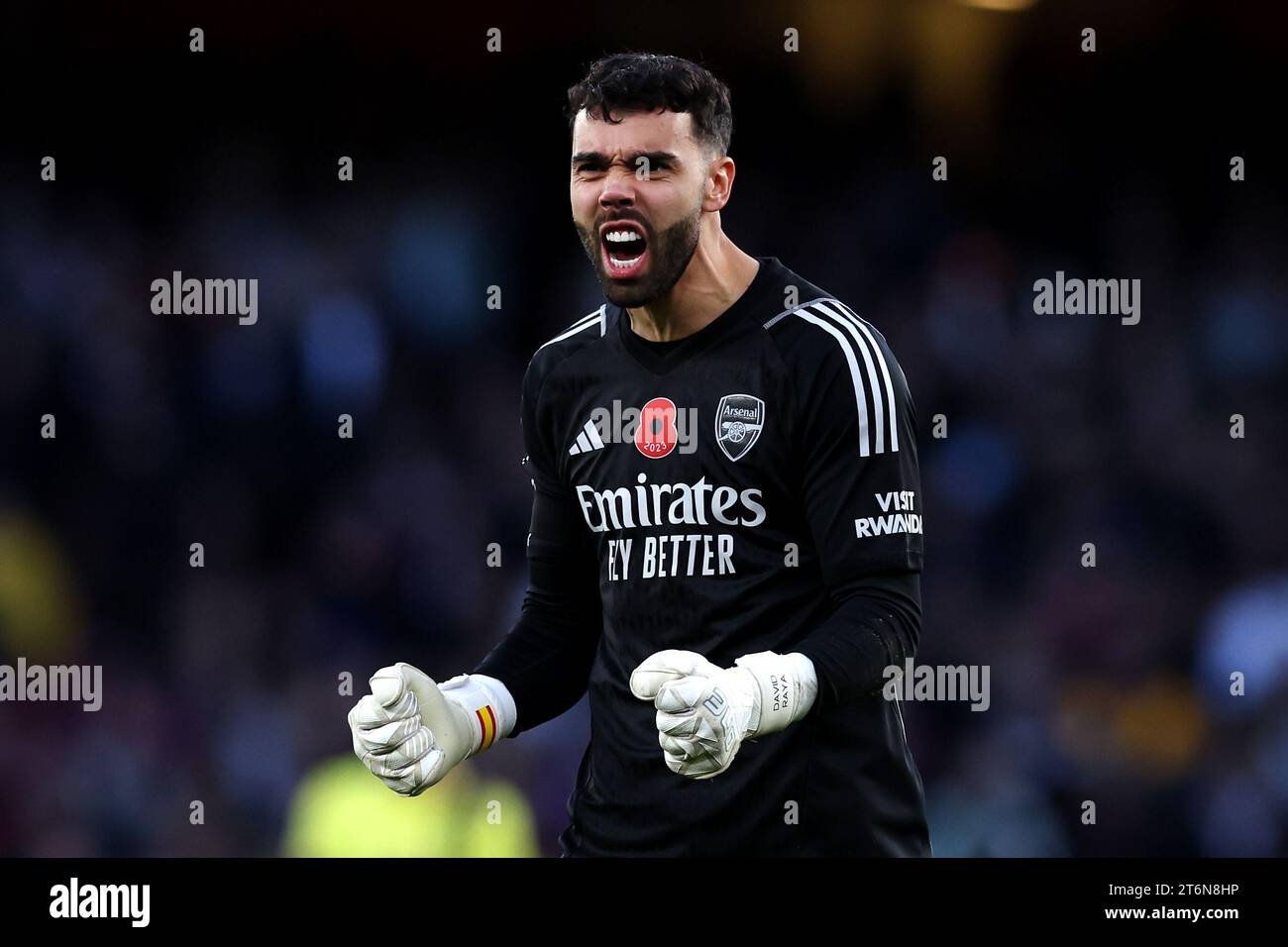 David raya arsenal november 2023 hi-res stock photography and images ...