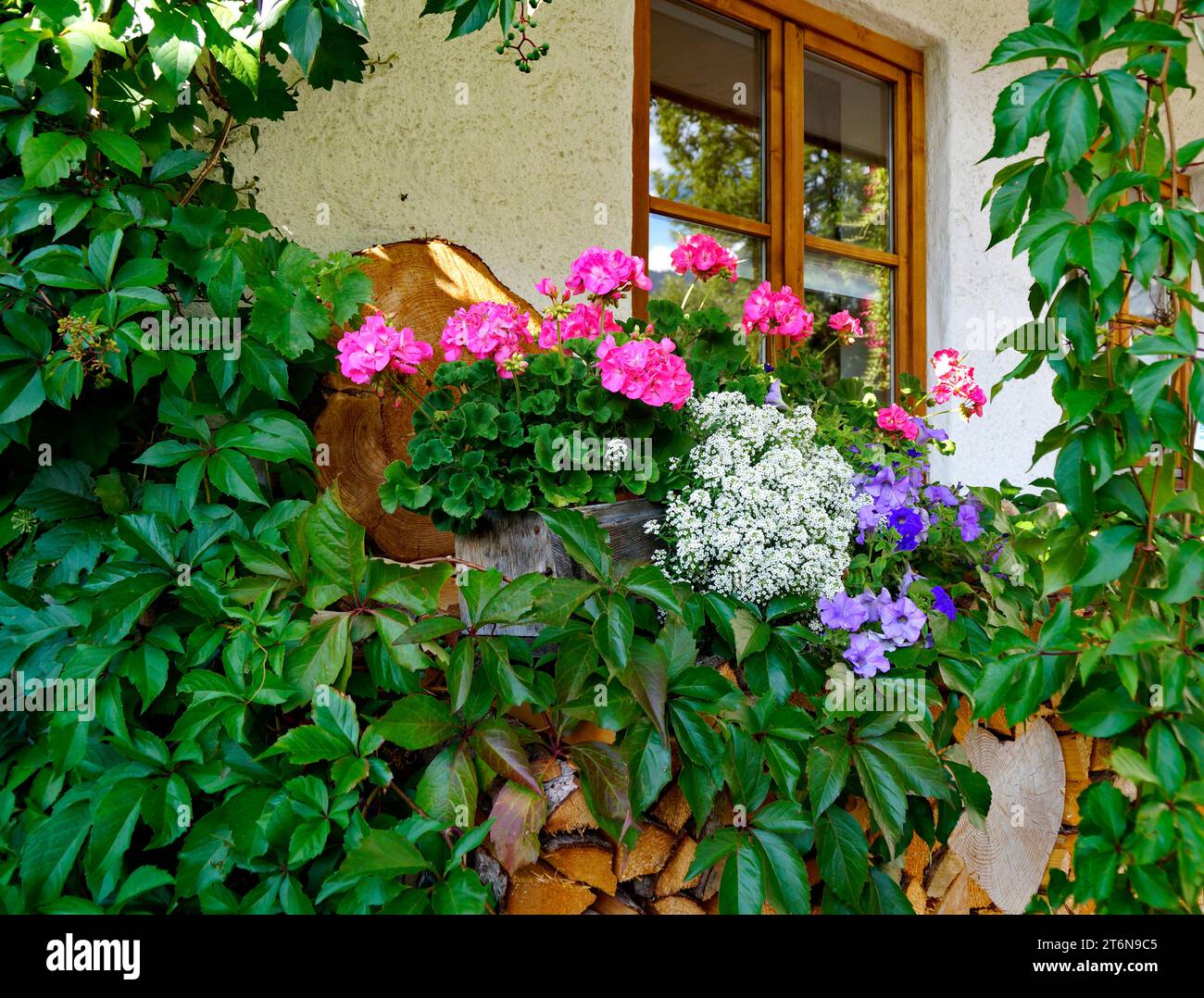 rustic alpine Bavarian farmhouse with a traditional pile of firewood ...