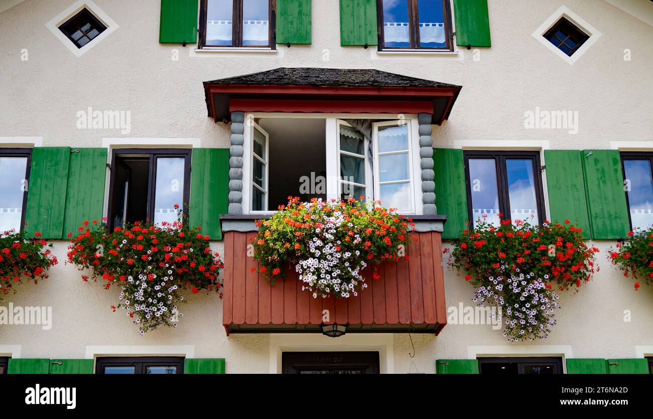 rustic windows with cute white curtains, green wooden shutters and red ...