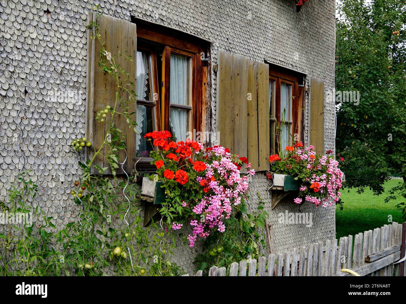 traditional Bavarian alpine country house covered with wood shingles ...