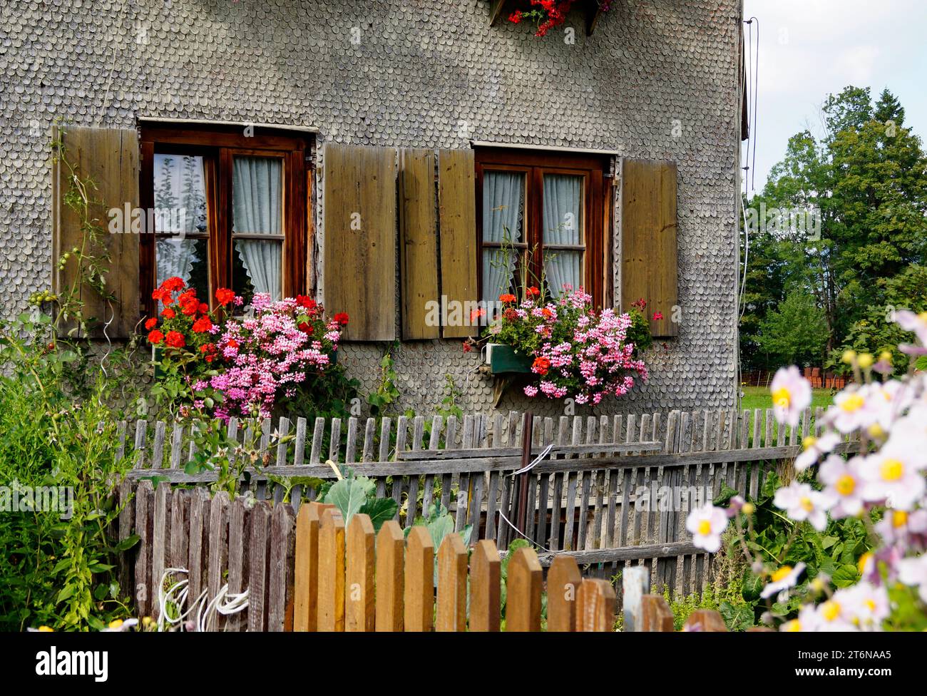 traditional Bavarian alpine country house covered with wood shingles ...