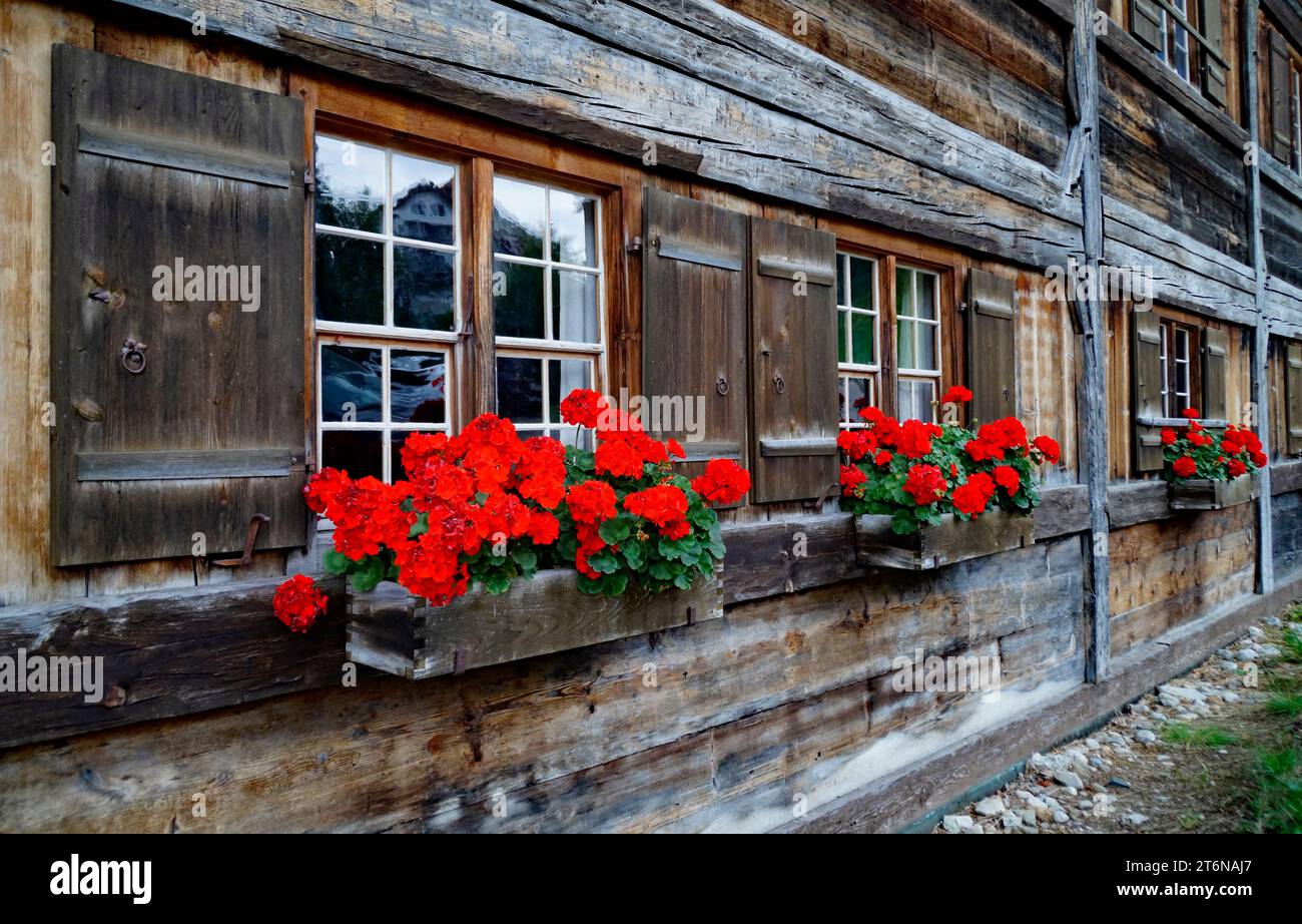 idyllic scene with traditional Bavarian rustic alpine farmhouse with ...