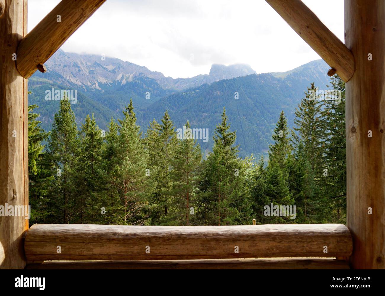 a scenic alpine landscape with firtrees in Pfronten in the Bavarian ...