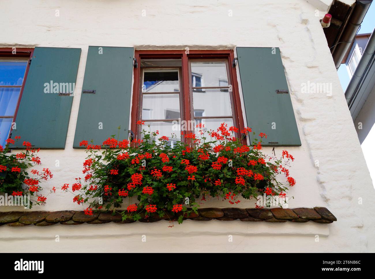 rustic windows with cute white curtains, green wooden shutters and red ...