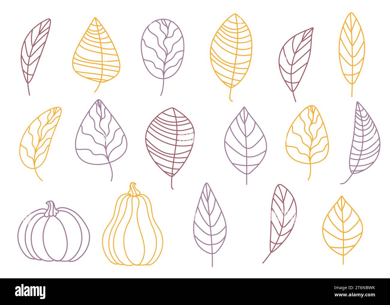 Set of autumn leaves and pumpkins. Vector illustration from outlines ...