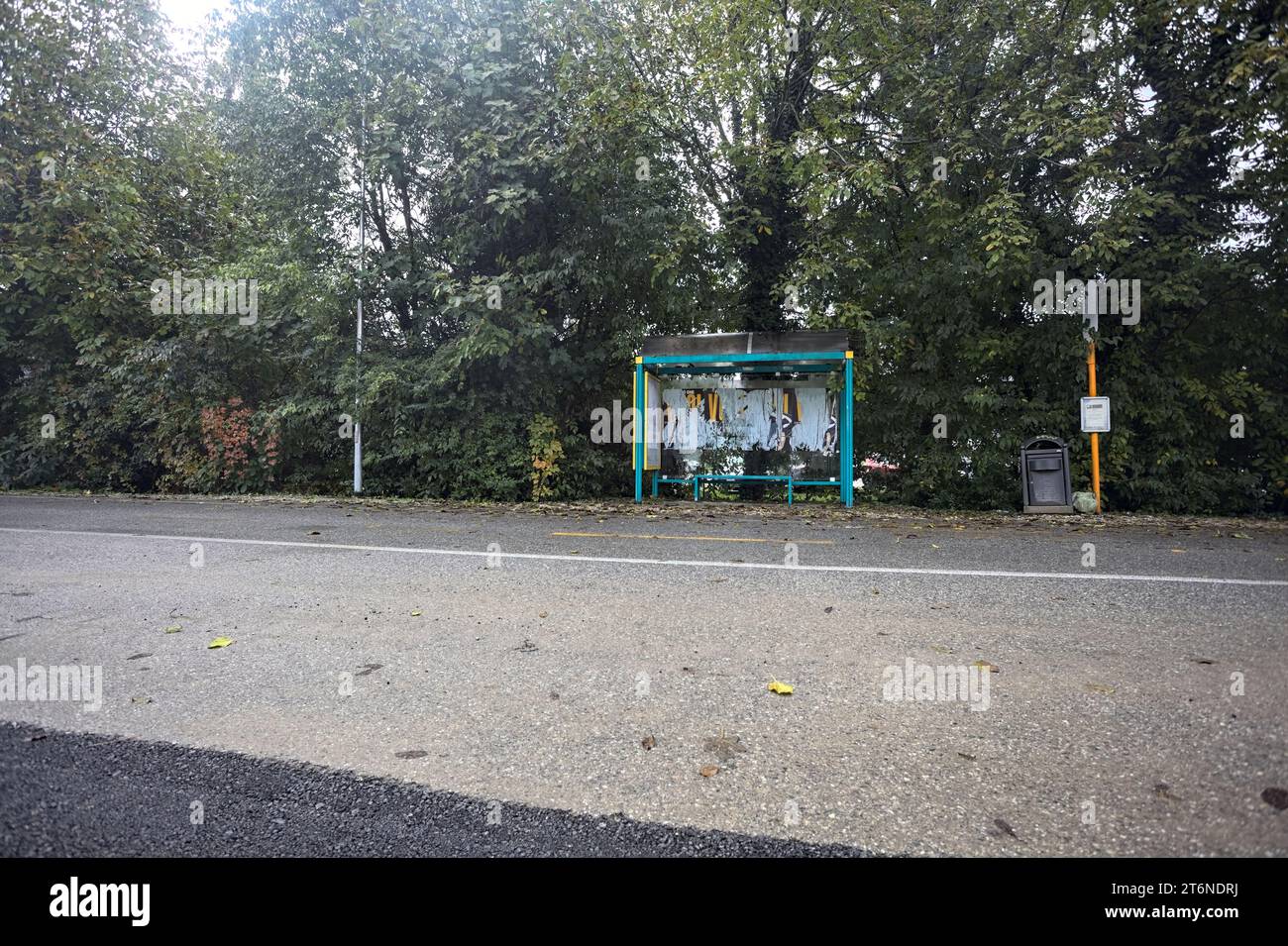 Bus stop in a road bordred by trees Stock Photo - Alamy