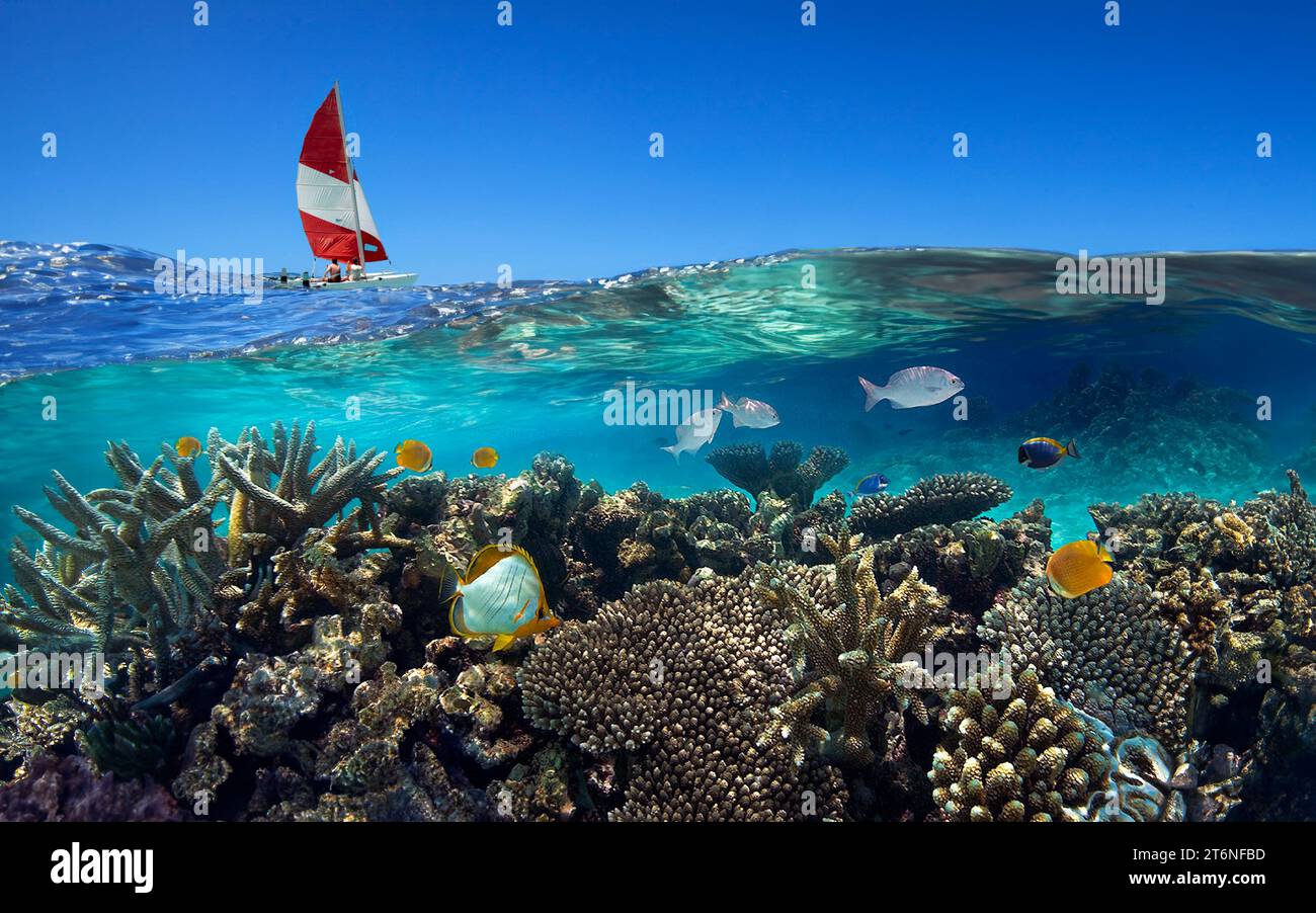 Sailing boat and coral reef in a tropical lagoon in the Maldives Stock ...