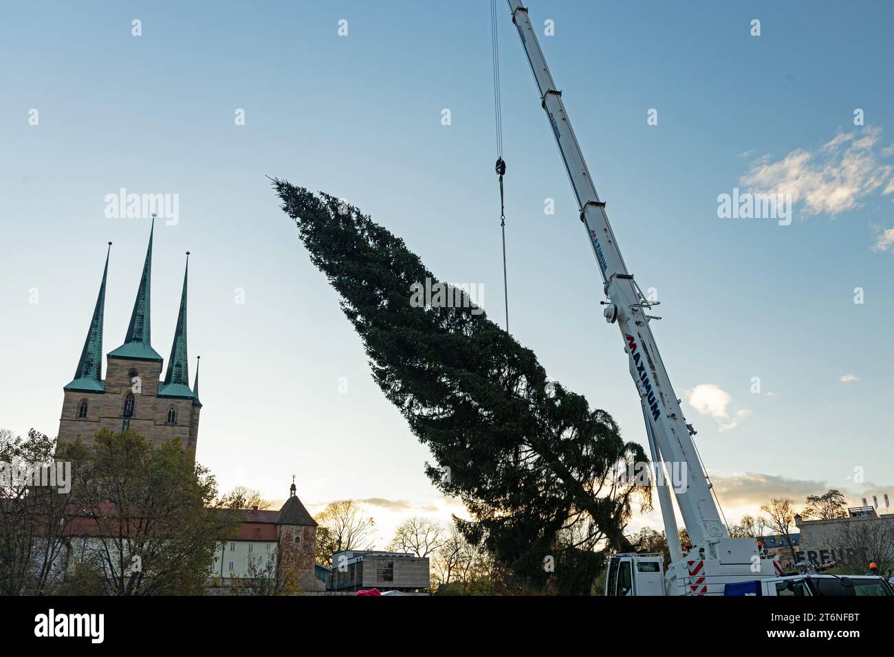 Christmas tree being lifted by crane for the christmas market 2023 in ...