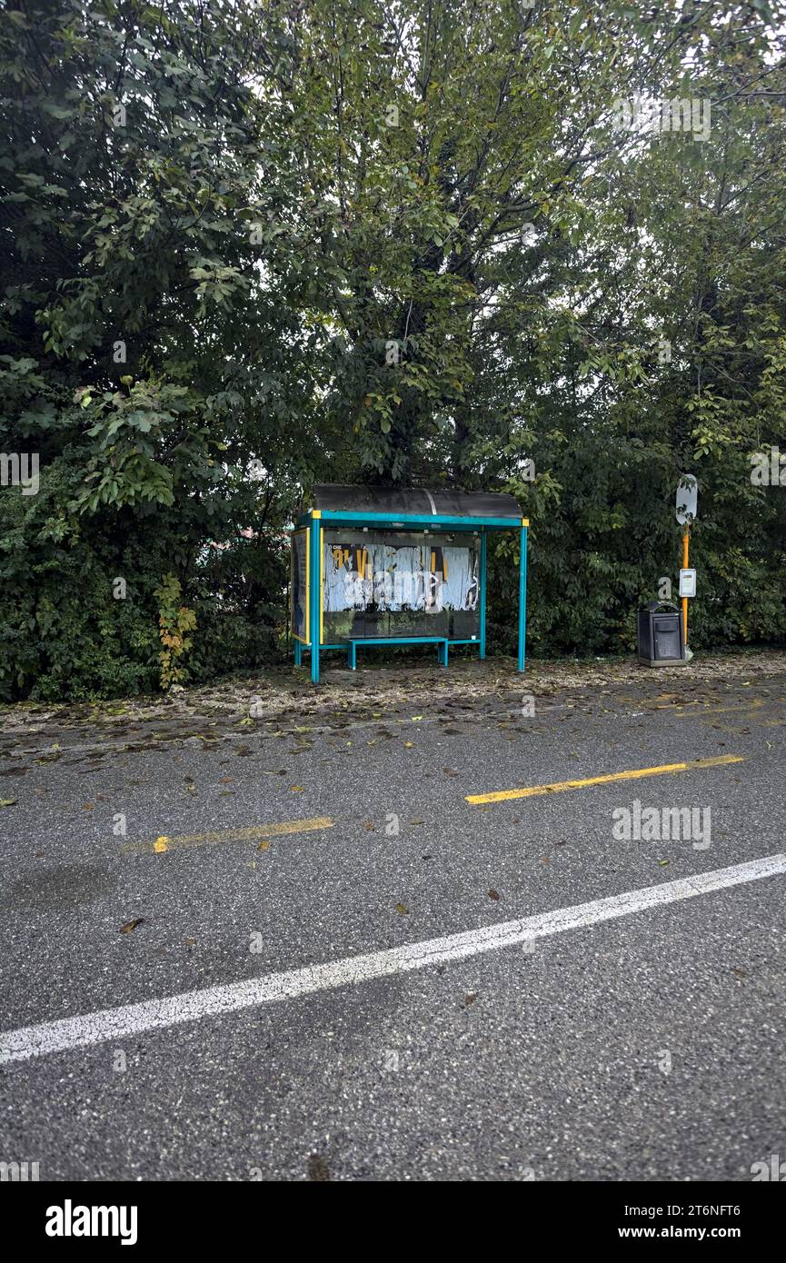 Bus stop in a road bordred by trees Stock Photo - Alamy