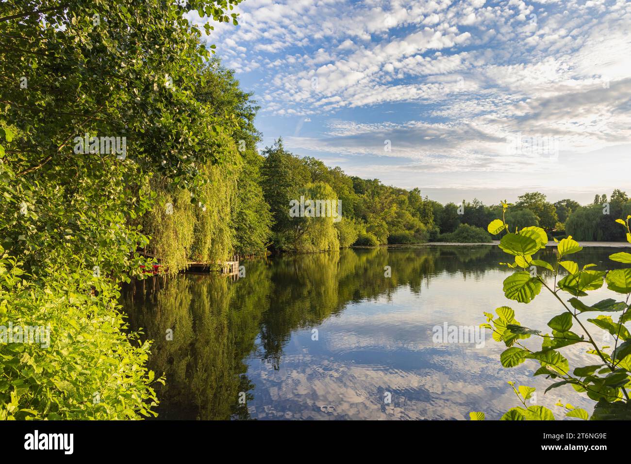 Landscape with Campsite and tiny hotel Am Waldsee in Lehrte Lower ...