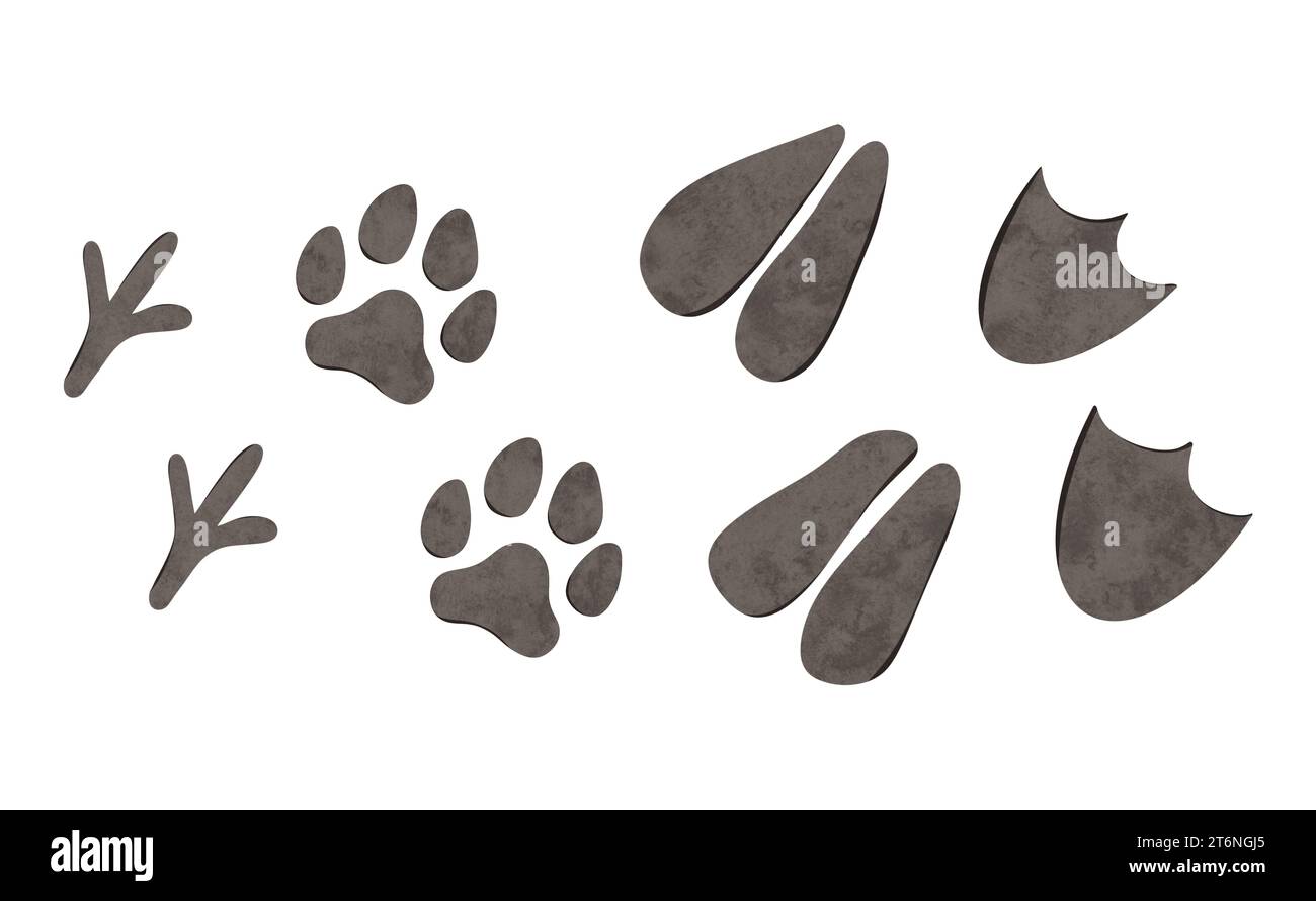 Set of Cartoon domestic animals footprint. Digital hand drawn farm ...