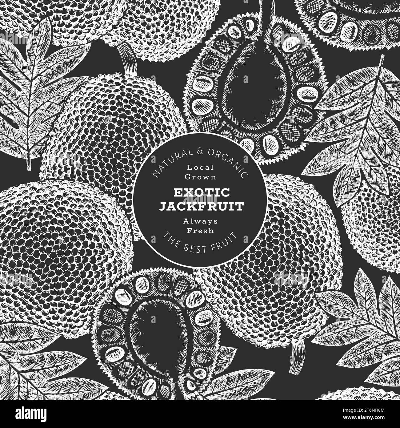 Hand drawn sketch style jackfruit banner. Organic fresh fruit vector ...