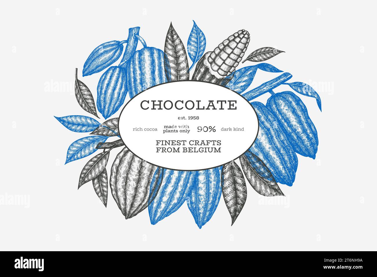 Cocoa Banner Template. Chocolate Retro Cocoa Beans Background. Vector ...
