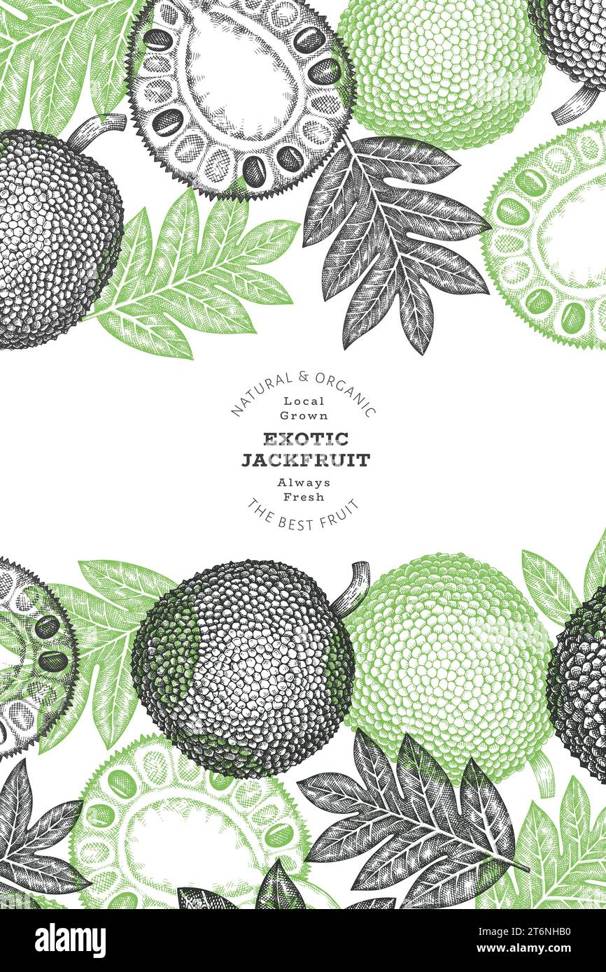 Hand drawn sketch style jackfruit banner. Organic fresh fruit vector illustration. Retro ...