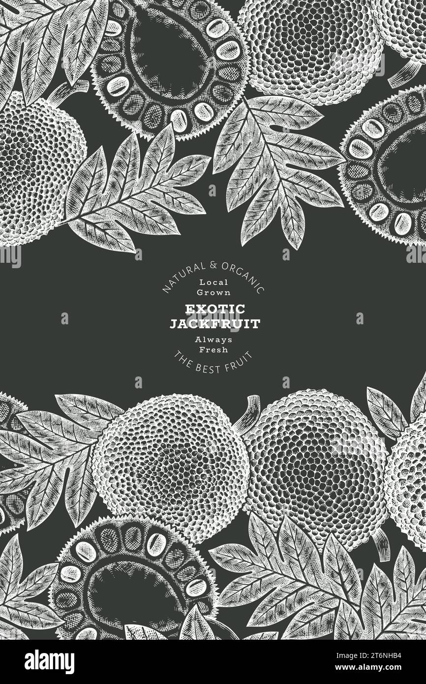 Hand drawn sketch style jackfruit banner. Organic fresh fruit vector ...
