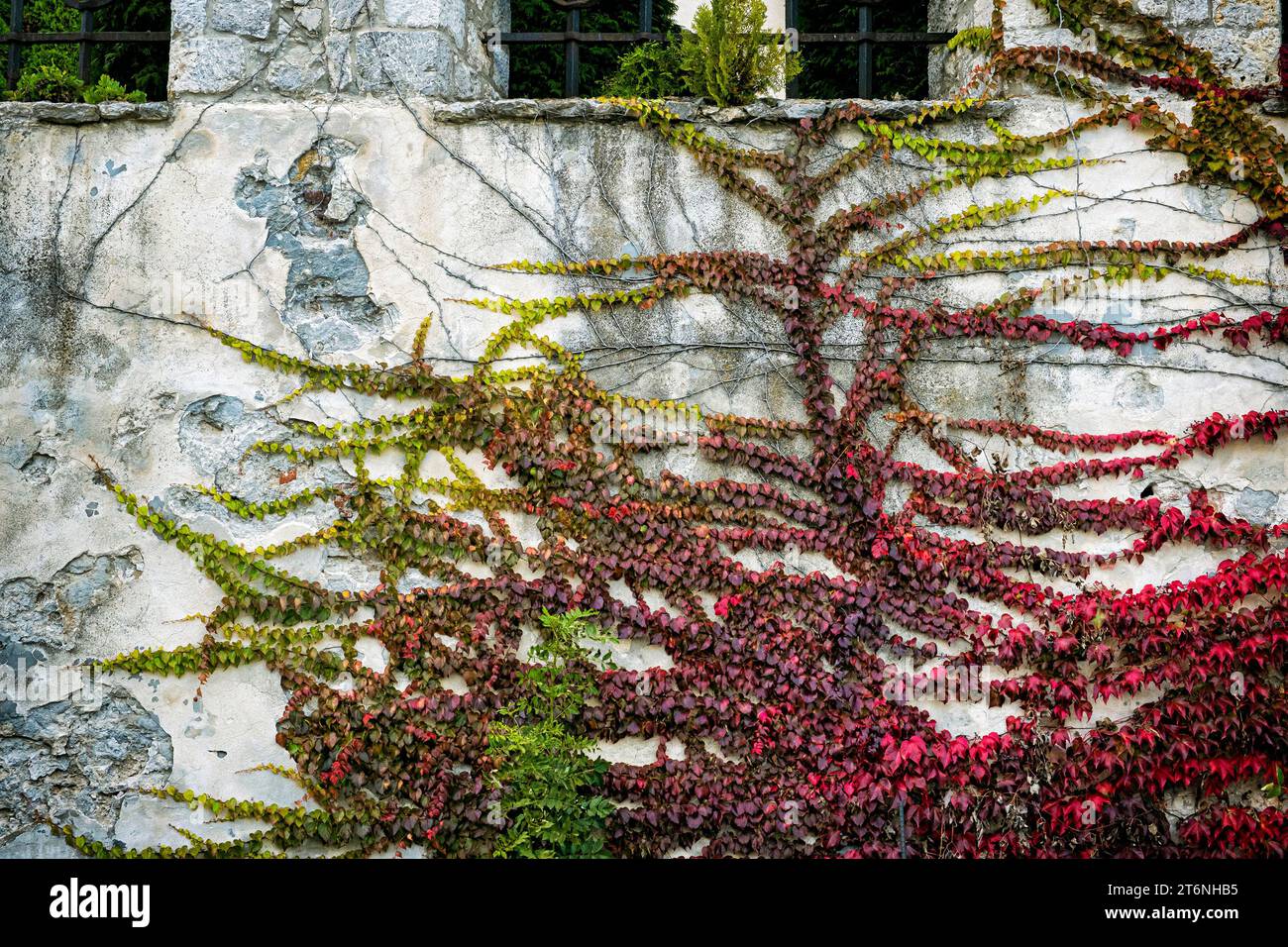 Smolenice castle, Slovak republic. Travel destination. Architectural ...