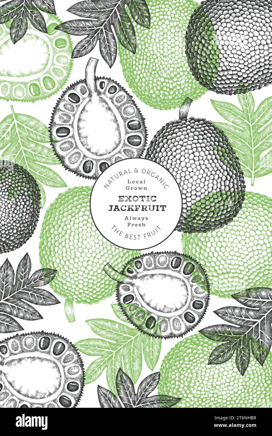 Hand drawn sketch style jackfruit banner. Organic fresh fruit vector illustration. Retro ...