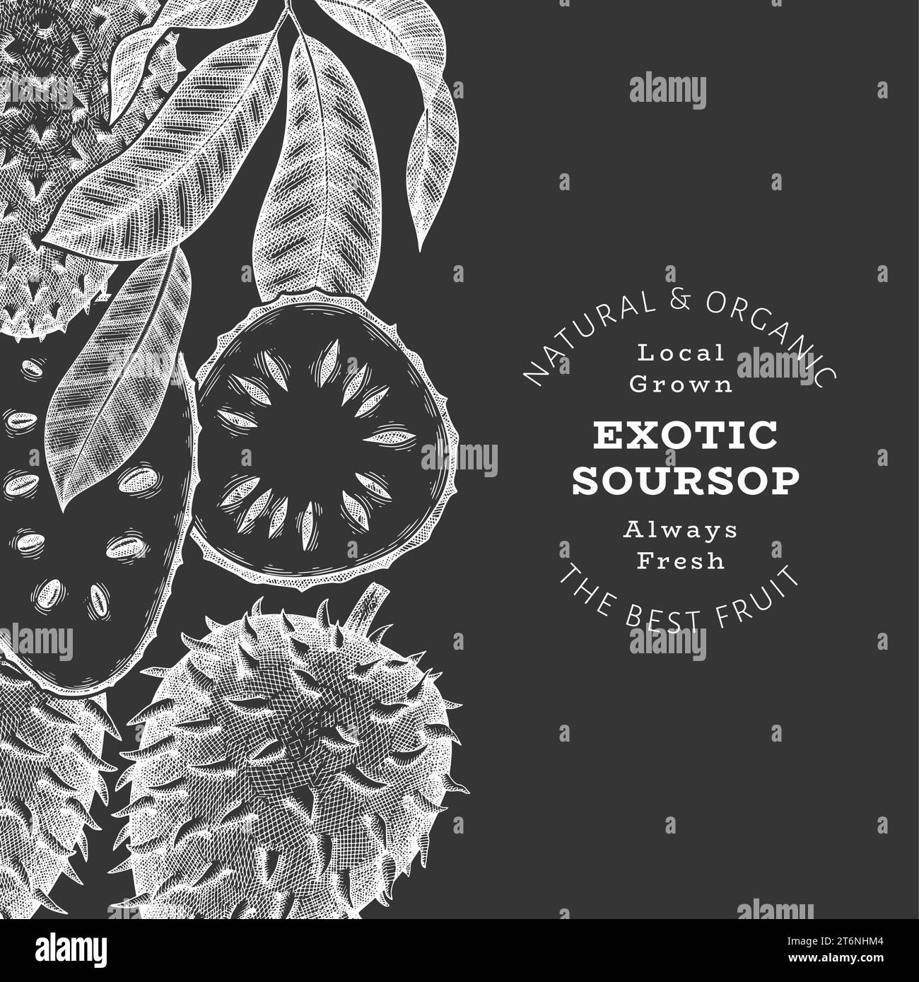 Hand drawn sketch style soursop fruit banner. Organic fresh fruit ...