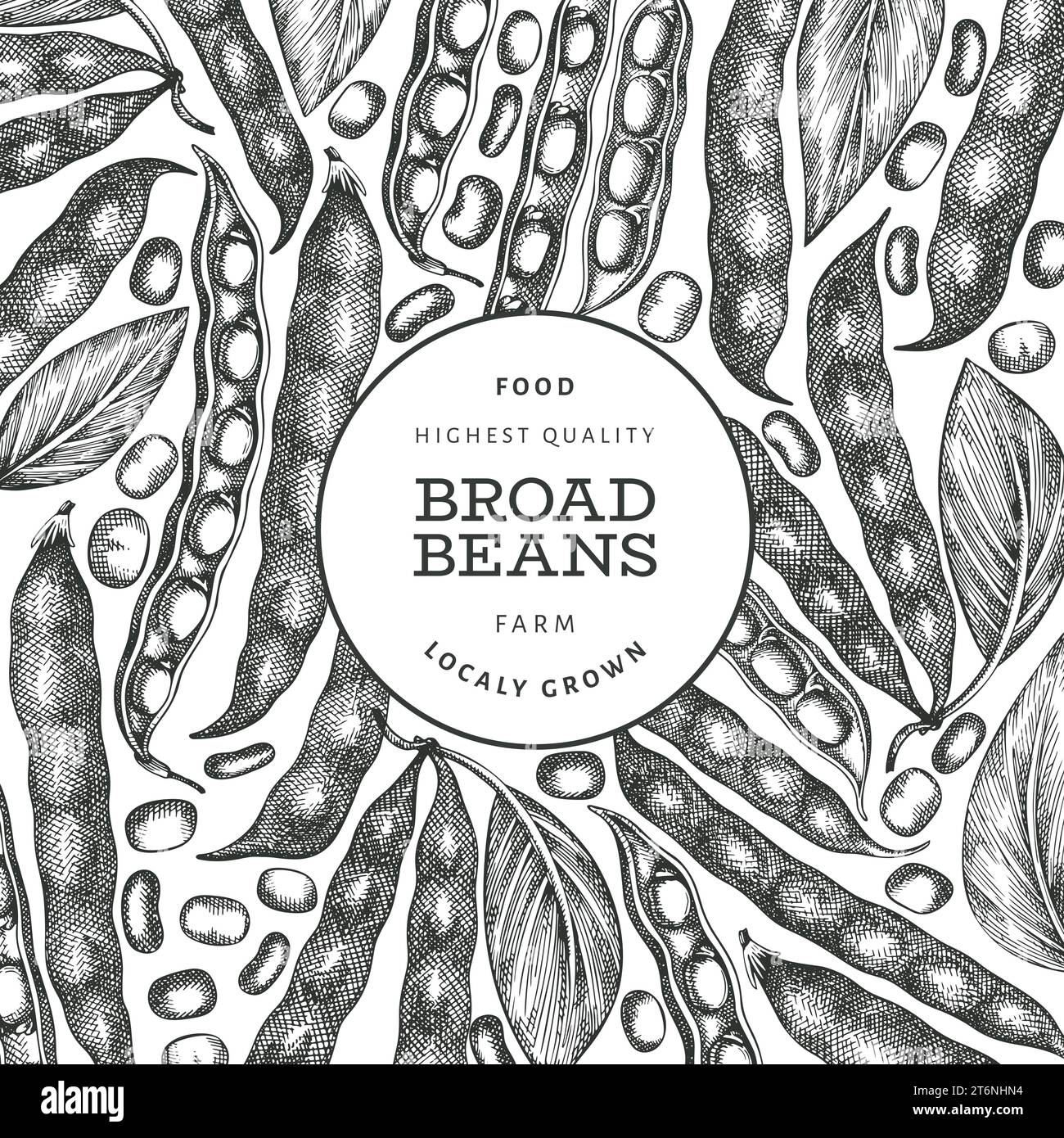 Hand drawn broad beans design template. Organic fresh food vector ...