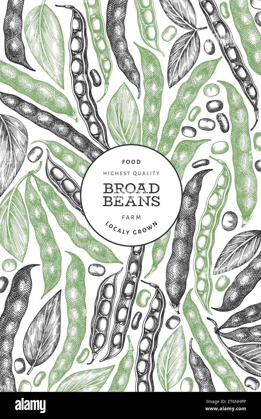 Hand drawn broad beans design template. Organic fresh food vector ...